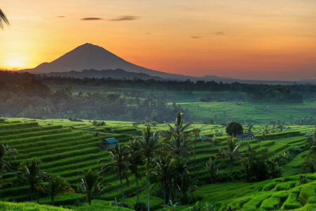 Indonesia 5-Year Multiple-Entry Visa D1 D2 | Bali Consulting